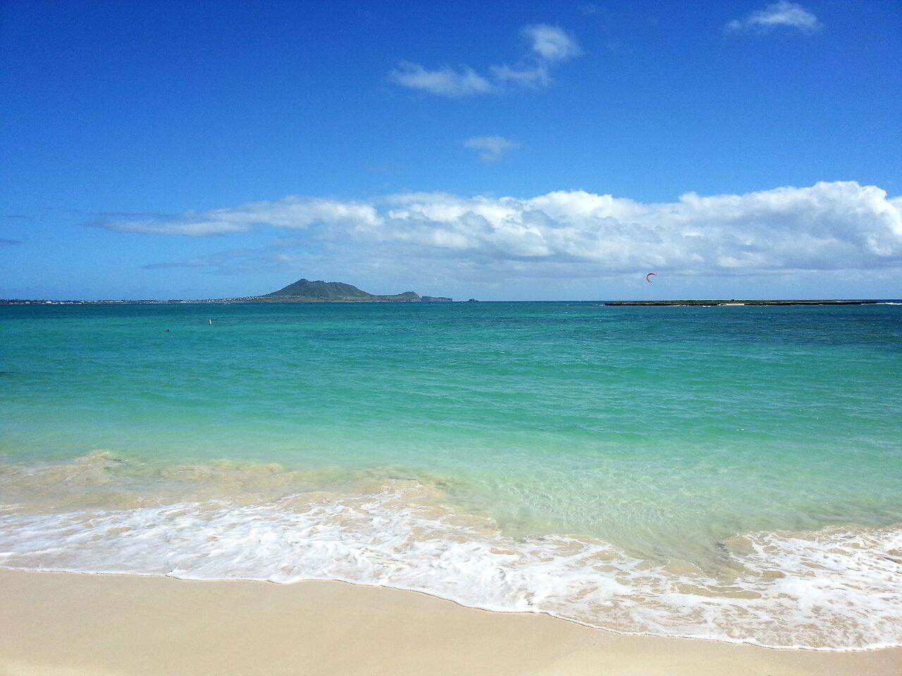 ライセンステストを終えて｜私のハワイ留学